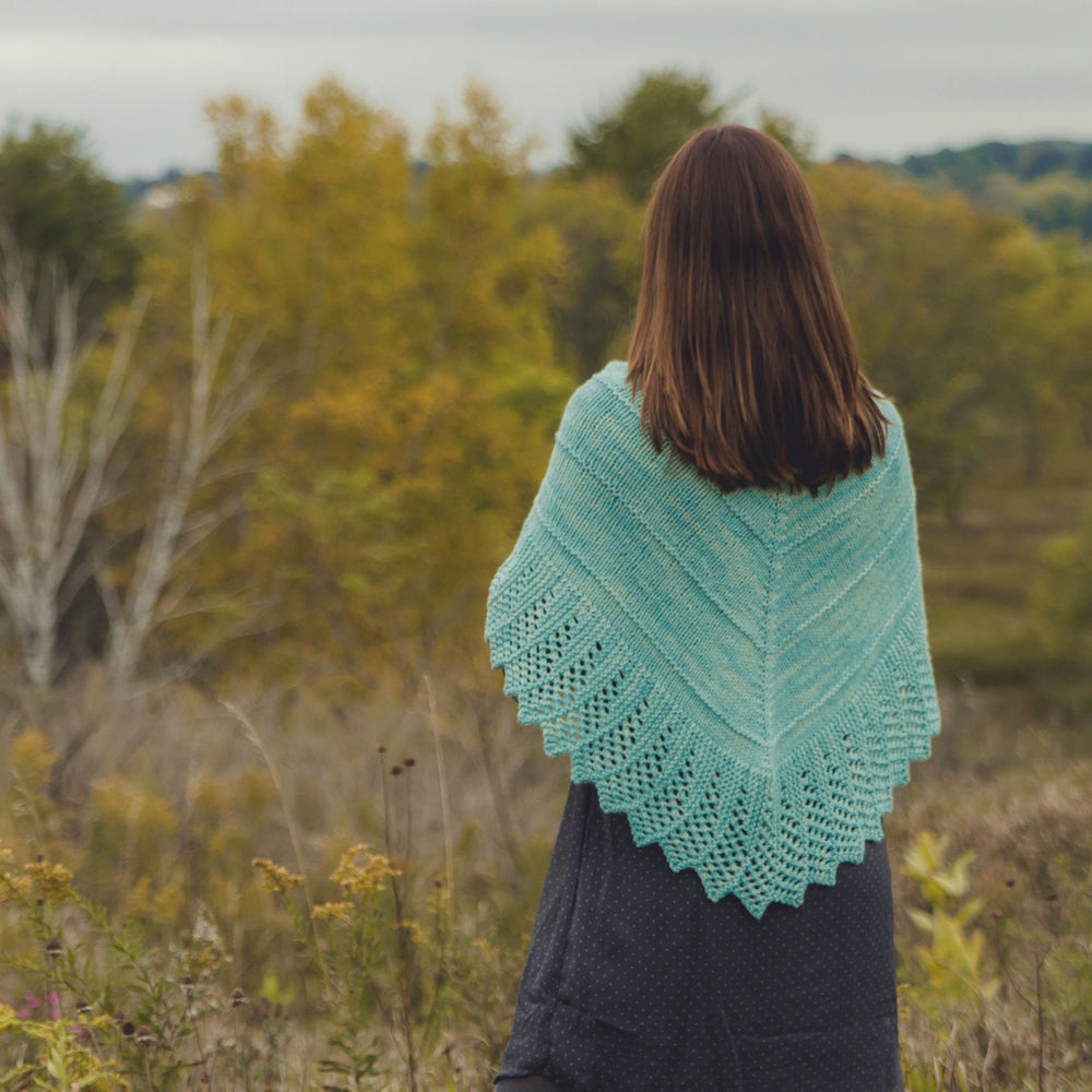 Wide Open Spaces Shawl Kit | Pattern + Yarn - Luna Grey Fiber Arts